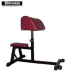 Prone Row Benches and Preacher Curls Archives | Power Body Fitness Inc.